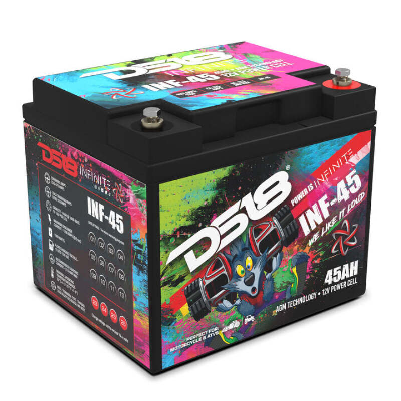 DS18 1500 Watts 45 AH Infinite AGM Power Cell Battery – Burton-Racing