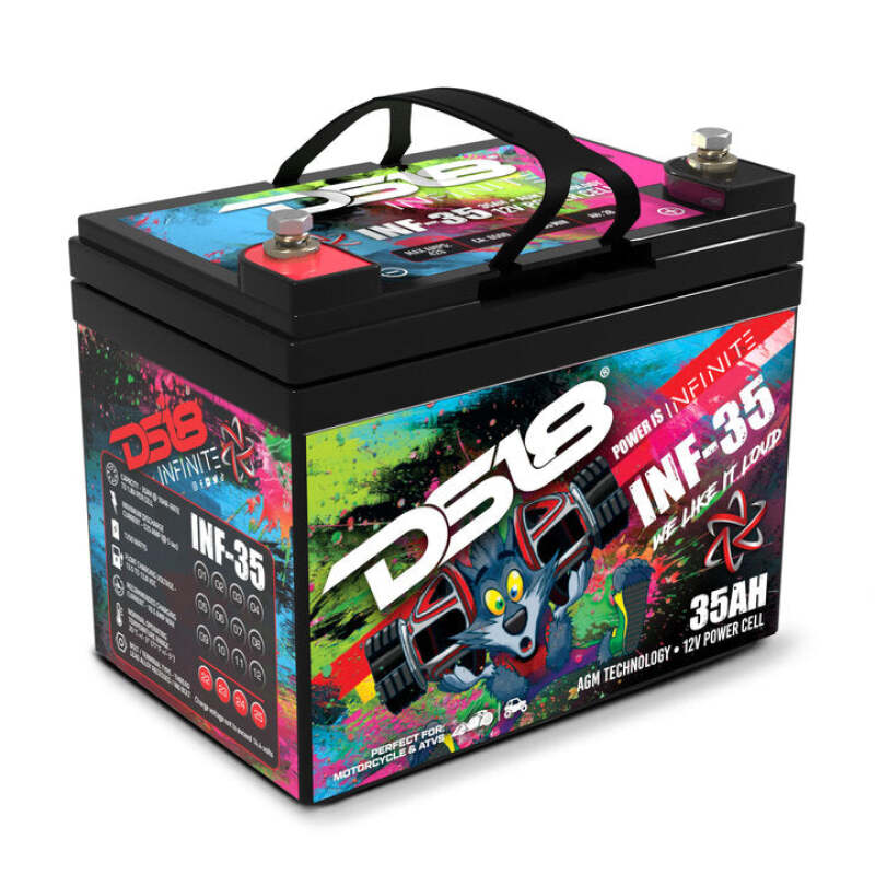 DS18 1250 Watts 35 AH Infinite AGM Power Cell Battery – Burton-Racing